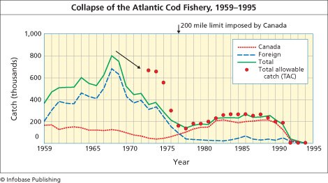 Graph shows the annual catch reduction as a result of overfishing.