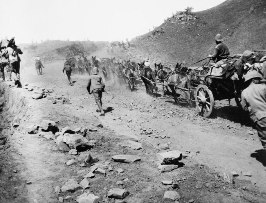 Second Boer War 1889-1902.