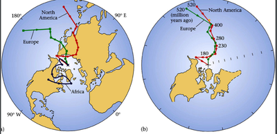 1956: Keith Runcorn y Ted Irving demuestran que las curvas de ...